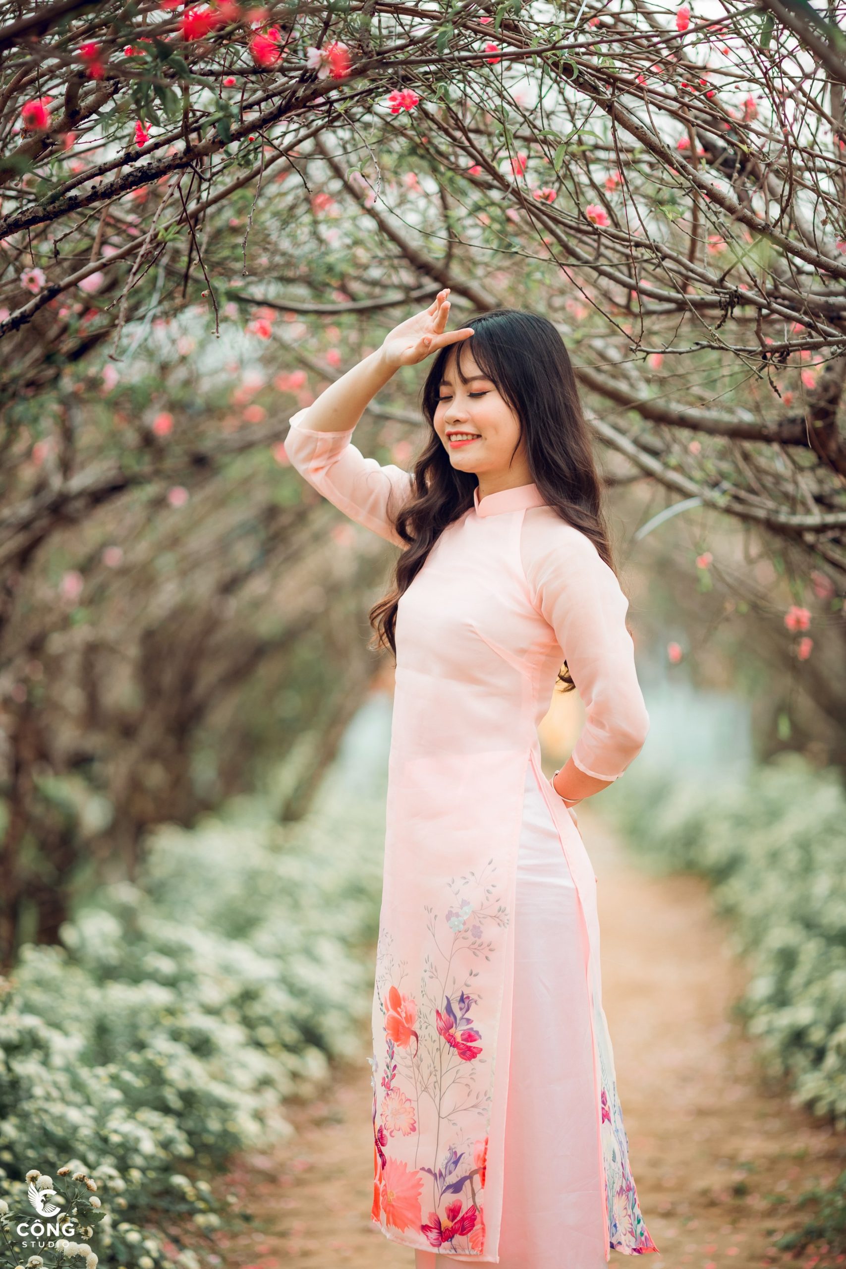 Bí Quyết Chụp Ảnh Hoa Đào Tết Đẹp “ Vạn Người Mê”
